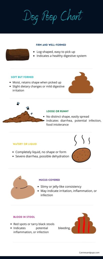 Managing Dog Diarrhea: Effective Strategies & Expert Tips - Canines and ...